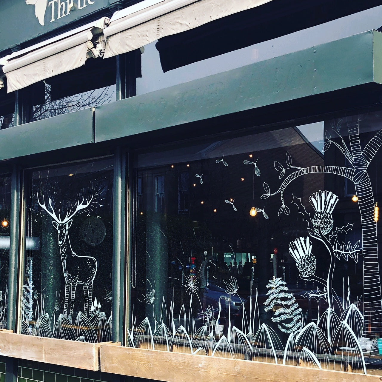 Strathbungo Window Wonderland – LAW DESIGN STUDIO